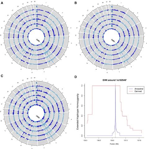Genome Wide Selection Signals In Sahelian Populations Xp Ehh Based Download Scientific Diagram