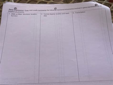 Solved Draw DNA VS RNA Structure Location And Chegg Com