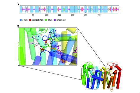 Predicting Secondary Structure And 3d Model Of Crte A Prediction Of