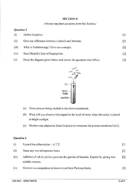 Icse Class 10 Computer Specimen Paper 2023 Pdf At Weston Donahue Blog