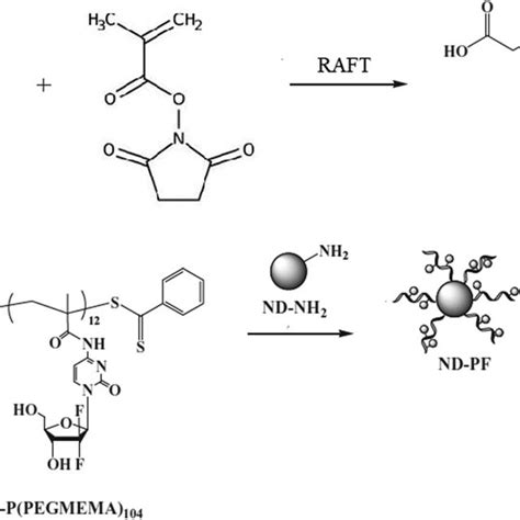 Surface Functionalization Of Amine Modified Nanodiamond With Carboxyl Download Scientific