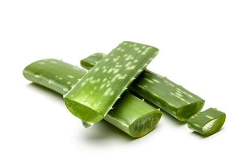 흰색 배경에 고립 된 잎의 알로에 베라 조각 잎에서 주스 한 방울 0명에 대한 스톡 사진 및 기타 이미지 0명 가시 건강관리와 의술 Istock