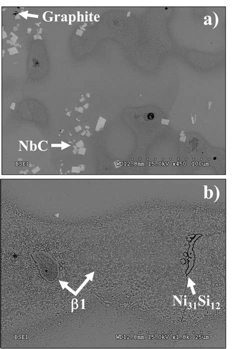Representative SEM Images Showing The Microstructure Of Alloy 4 3 Wt Download Scientific