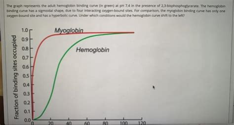 Solved The Graph Represents The Adult Hemoglobin Binding Chegg Com