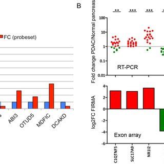 Real Time PCR Validation Of Exon Array Data A Selection Of Download Scientific Diagram