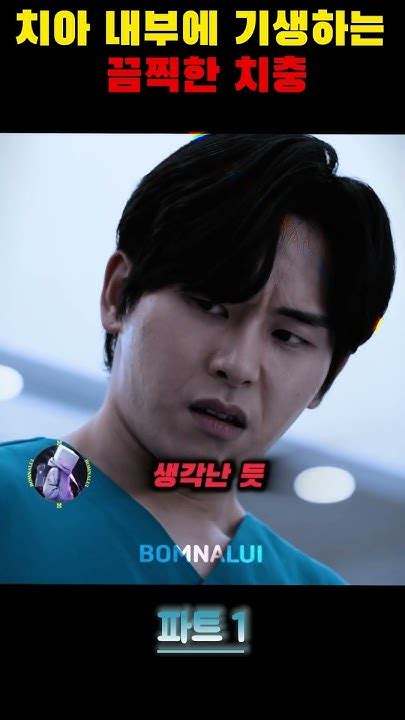 치아 내부에 기생하는 끔찍한 치충추천영화추천 영화 재미재미있는영상 Youtube