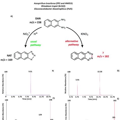 Gc Ms Analyses For Nat Complex Detection A Typical And Alternative