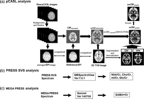 Diagram For Data Postprocessing Steps This Figure Shows The Flow Chart