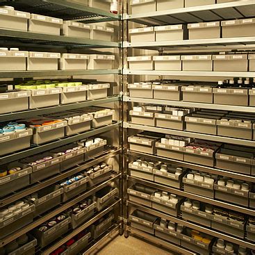 Stability Testing Complementary Medicine Manufacturing