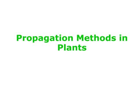 Propagation By Specialized Vegetative Structure Pptx