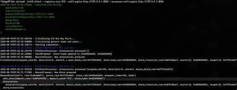 Danny Ryan Demos Ethereum Shard