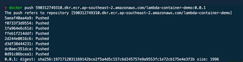 Building Aws Lambda Container Images Cevo