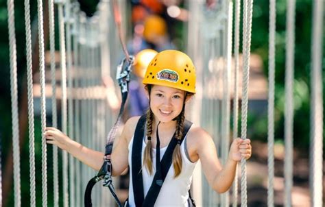 Zipline Tour And Aerial Obstacle Course Combo Tree To Tree Adventure