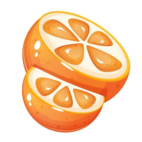 Premium Vector Cartoon Style Small And Big Orange Slice