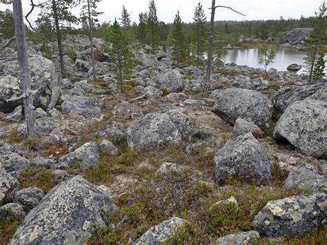 3 Very Slow Lapland Wilderness Challenge