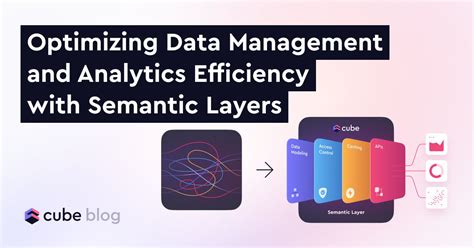 Optimizing Data Management And Analytics Efficiency With Semantic