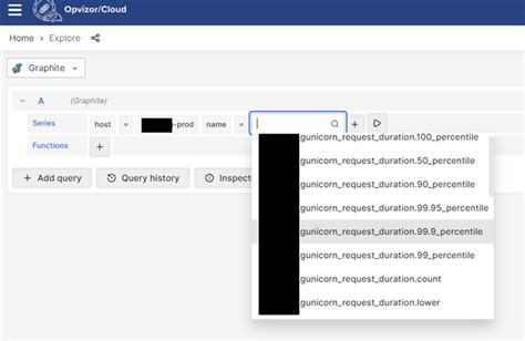 Using Opvizorcloud To Monitor A Python Gunicorn Application With