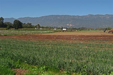 Find Beach Town Vibes In Carpinteria California Dreams Abroad