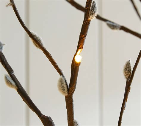 Lit Outdoor Willow Twinkling Twig Tree Pottery Barn