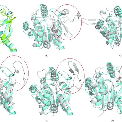 Statistics Describing The Nmr Solution Structure Of Wild Type Apo Coby