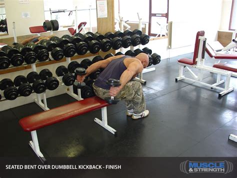 Seated Bent Over Dumbbell Kickback Video Exercise Guide And Tips