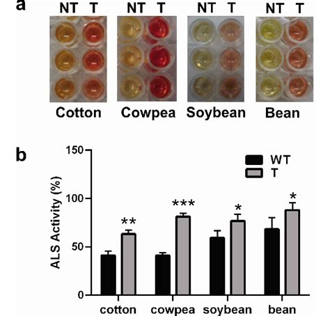 Enzymatic Colorimetric Assays From Untransformed And Transgenic Plants