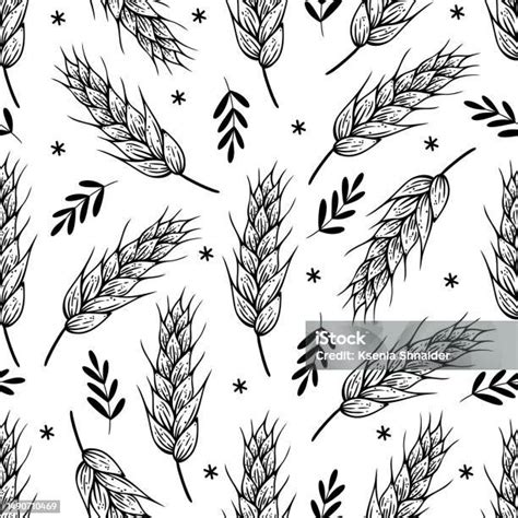밀 귀 원활한 벡터 패턴입니다 보리 쌀 귀리의 스케치 밭 식물 수확 농장 유기농 곡물 손으로 그린 그림 농업 허브 포장을 위한 흑백 배경 인쇄 보리에 대한 스톡 벡터 아트