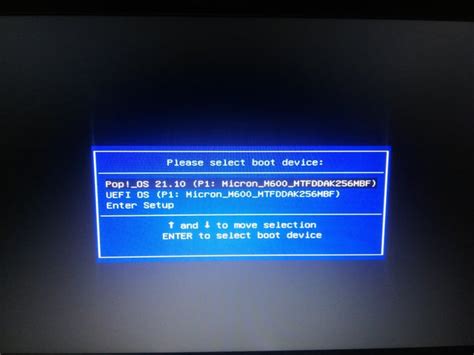 Update Broke Dual Boot R Steamdeck