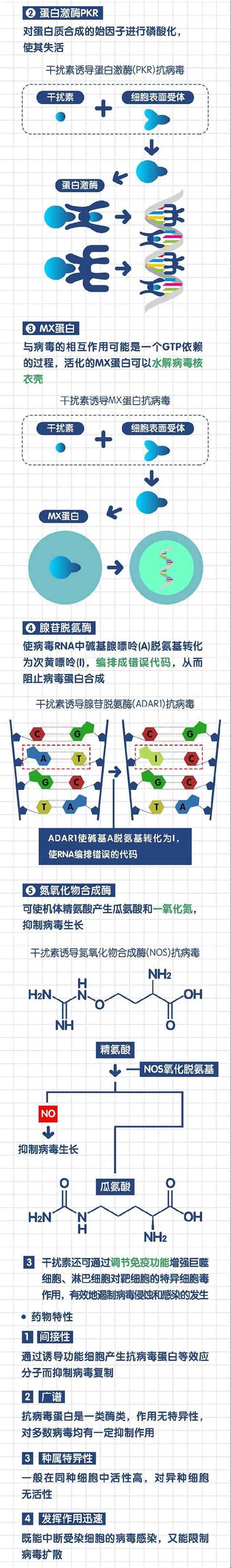 新版诊疗方案推荐药物干扰素、利巴韦林、洛匹那韦 利托那韦如何抗病毒？ 界面新闻 · 中国
