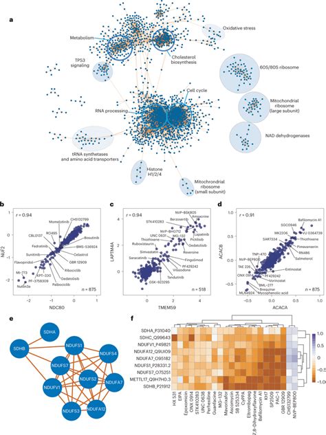 Proteinprotein Correlations Highlight Relationships Between Drug