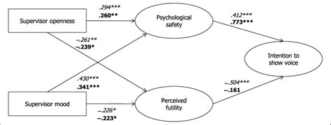 Results Of Latent Variable Path Model N 262 P⩽001 P⩽01