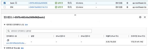 Aws Saa Elastic Network Interfaceseni