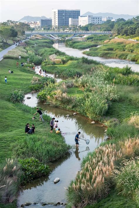 People Are Standing On The Bank Of A Small Stream In A Grassy Area With