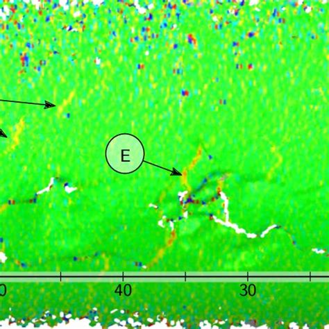 Dic Results Viewed From Above The Microscopy Sections The Black Download Scientific Diagram