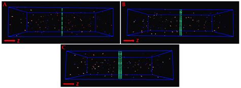 The Simulation Box Filled With A Gaseous Mixture Of Co2 N2 And H2o Download Scientific