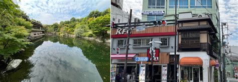 Wonders Of Mejiro And Ikebukuro Sun Realty