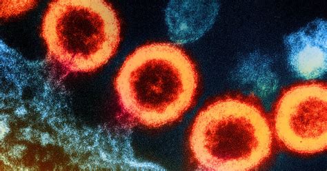 Circumcision May Reduce Hiv Risk Among Men Who Have Sex With Men