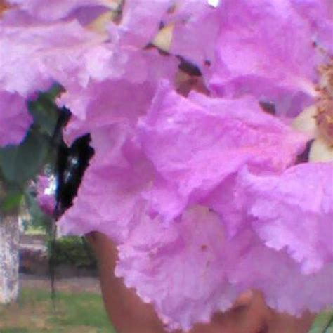 Jiaxin Zhou Fudan University Shanghai Institute Of Biostatistics Research Profile