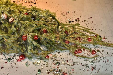 Herenboetiek Het Grijs Peerd Pakt Uit Met Gesneuvelde Kerstboom In