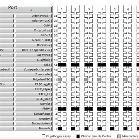 Taqman Array Card Tac For Enteropathogen Testing Download Scientific Diagram