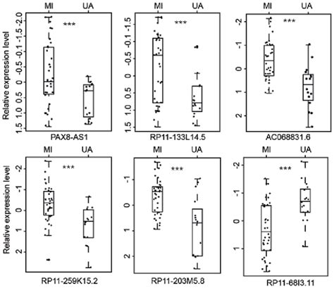 The Six Most Differentially Expressed Long Non Coding RNAs Between MI