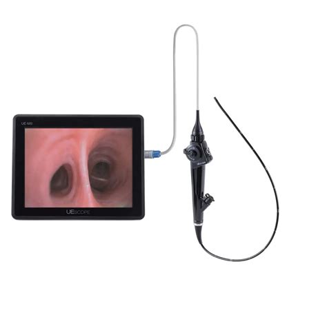 Portable Video Flexible Endoscope Medical Endoscopy 4k Camera Endoscopy