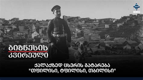 ქალაქზედ ცხვრის გატარება თფილისი ტფილისი თბილისი Youtube