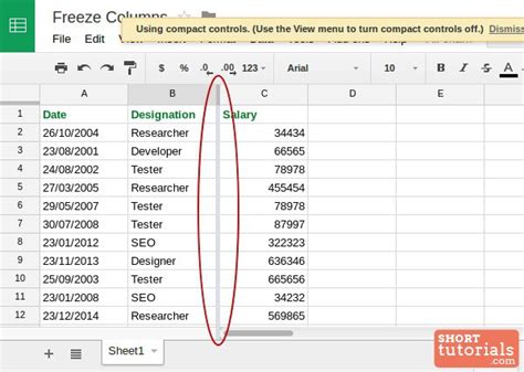 Freeze Columns Google Sheets1