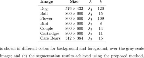 Image Sizes And Parameters Used In The Segmentation Task Download Table