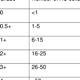 Classification Of Uveitis SUN 8 Download Table