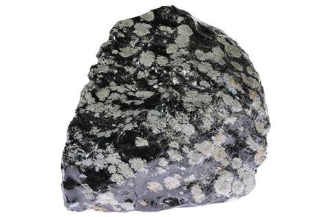 Snowflake Obsidian Rock