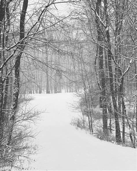 Terri Fleener Cdr On Linkedin Inclusion Teamwork