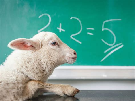 10 Best Ai Coding Tools In 2025 Developer Tech News