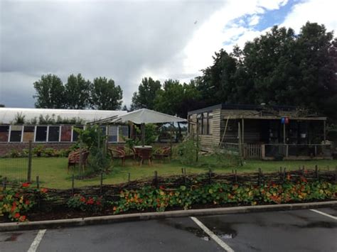 Van Reeuwijk Fruit And Flowers Updated February 2026 18 Photos